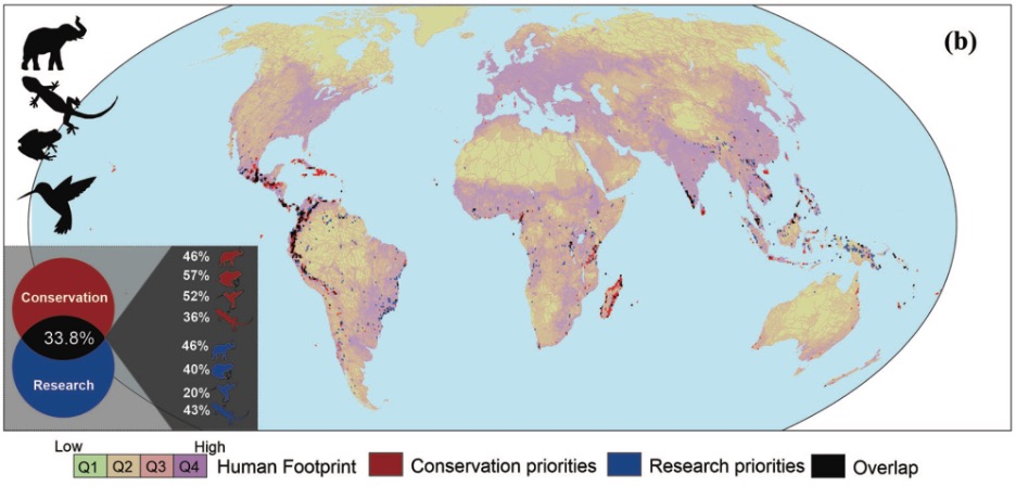 Conservation Biogeography | Maevolab MX